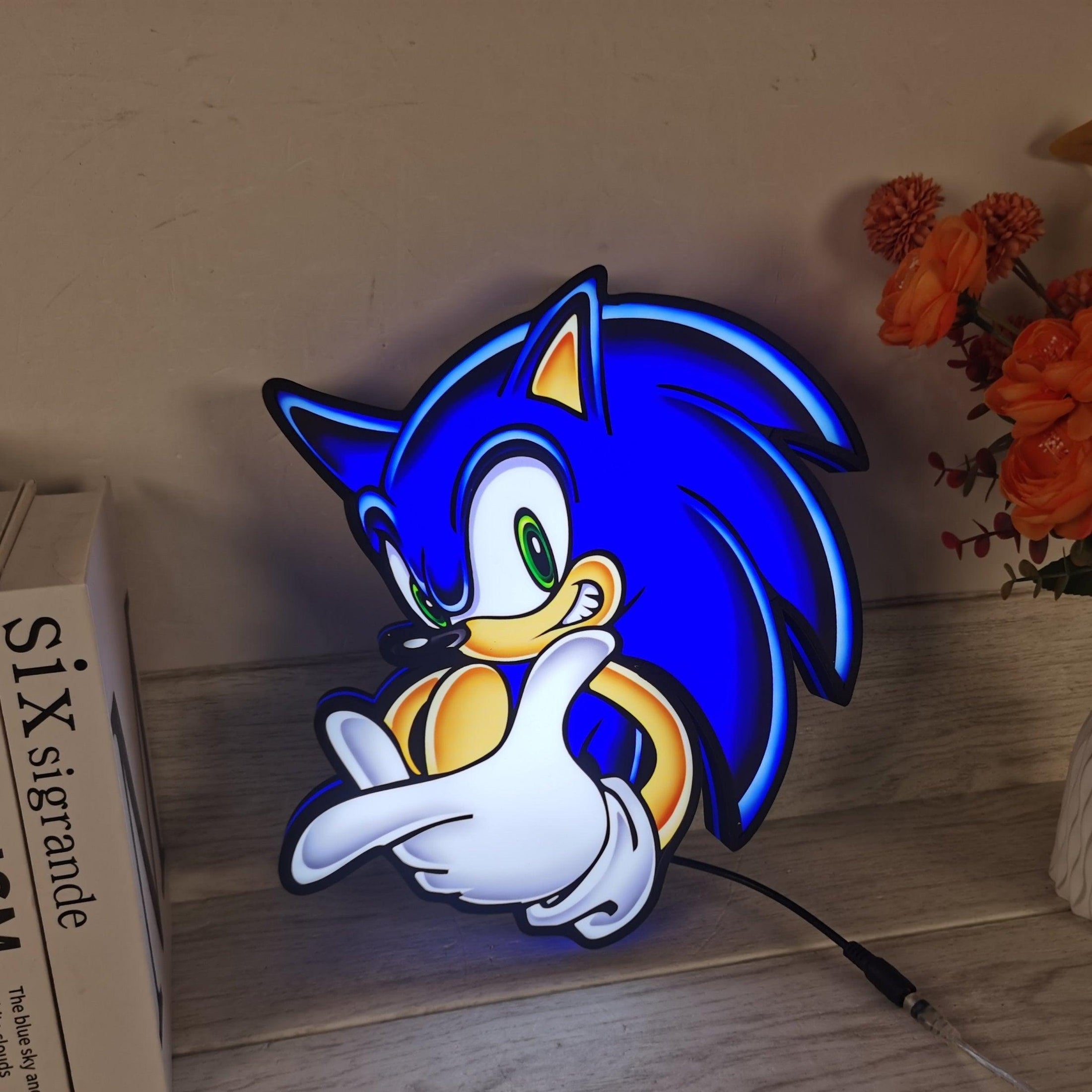 Sonic the Hedgehog SEGA Logo 3D LED Light Box – FYLZGO