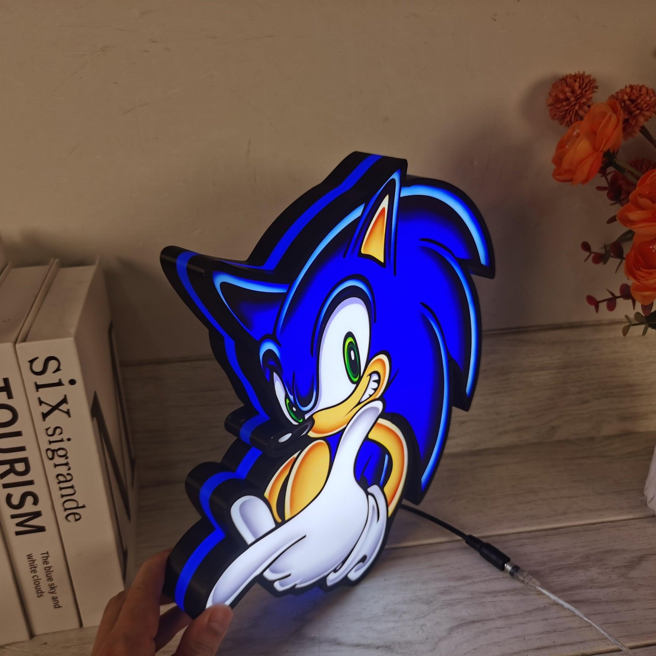 Sonic the Hedgehog SEGA Logo 3D LED Light Box – FYLZGO